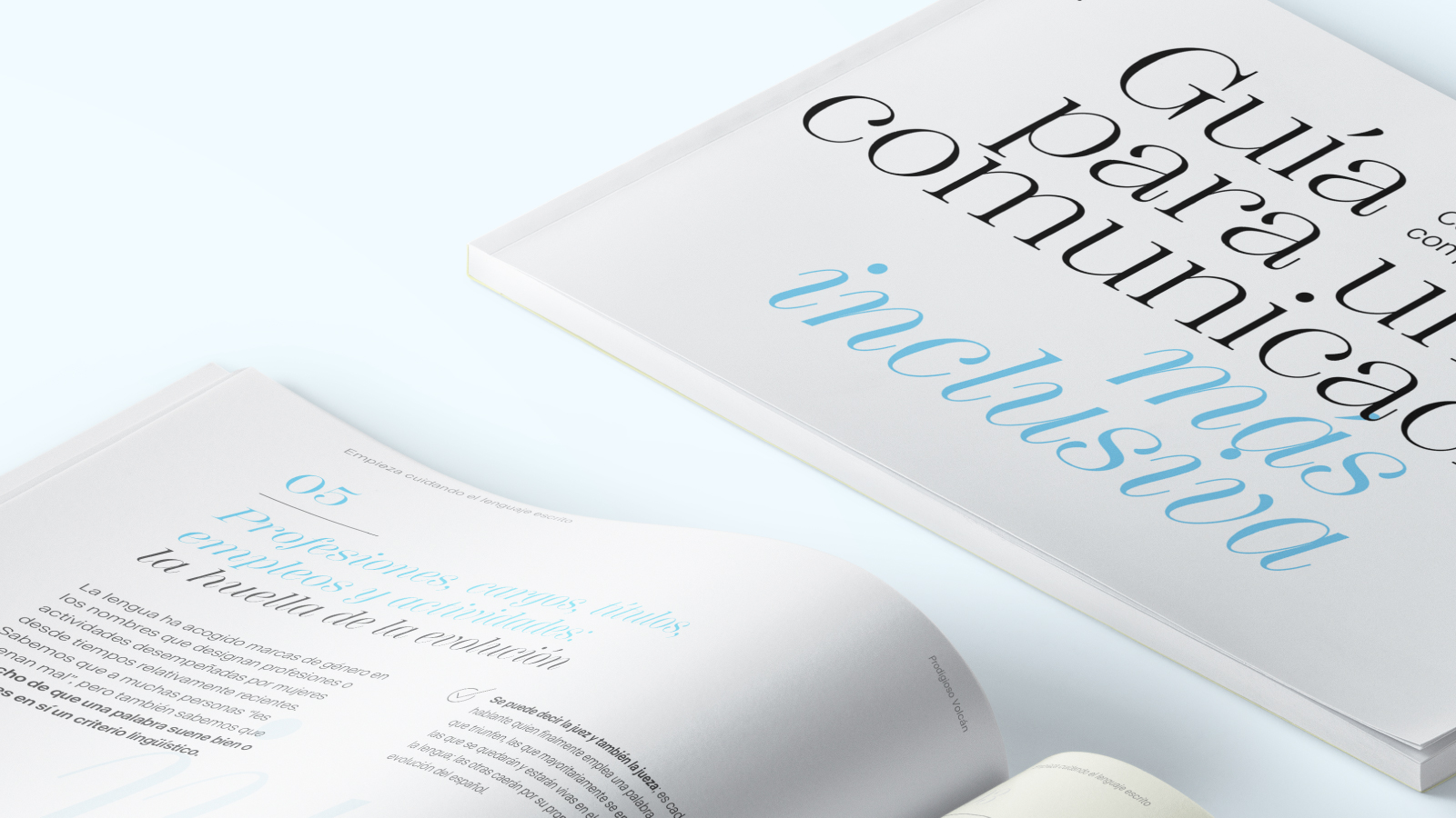 Hacia una comunicación más inclusiva - Prodigioso Volcán